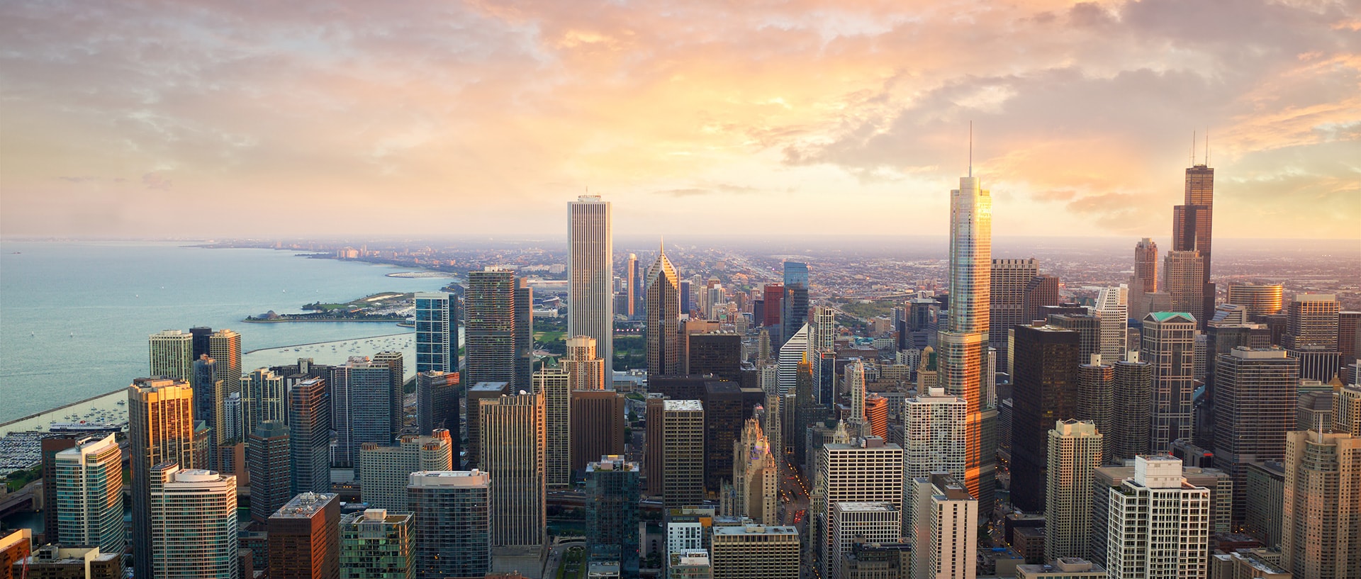 Leadership – Sciath Group