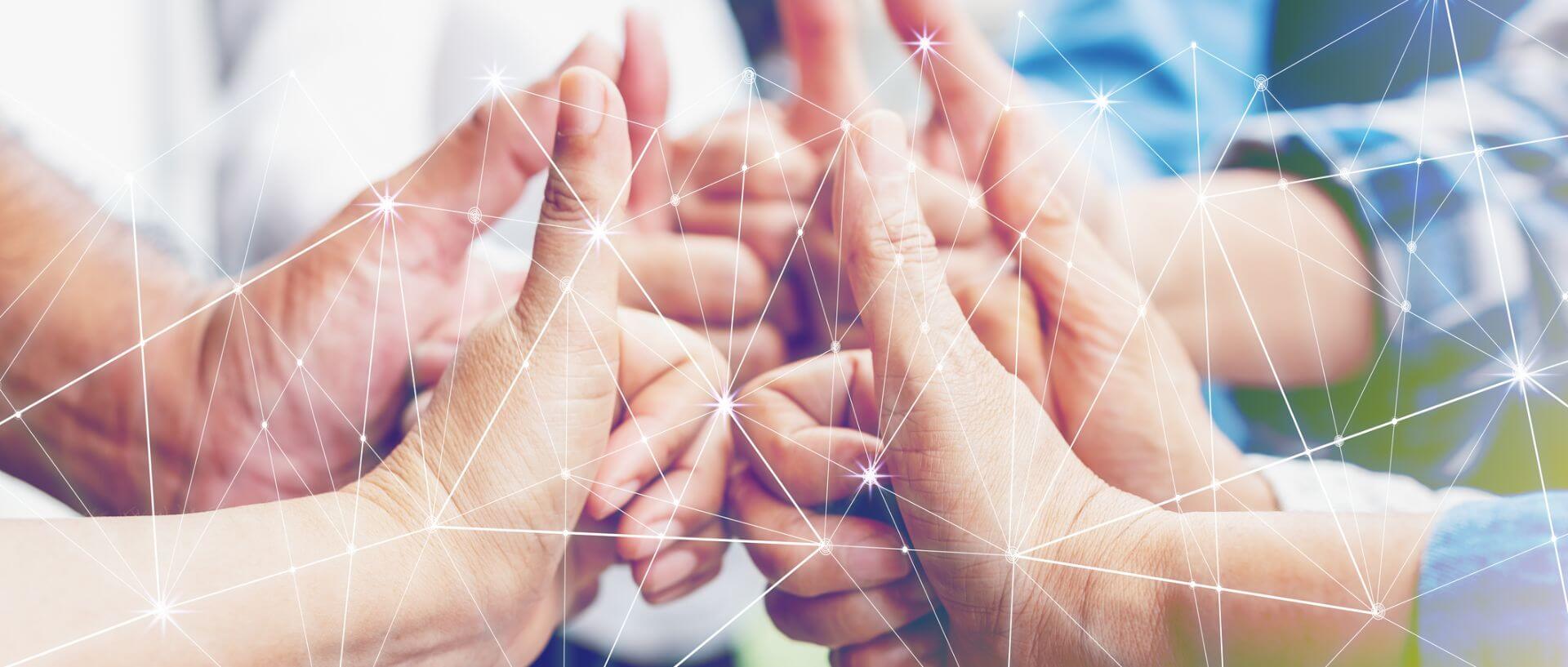 Our Principles – Sciath Group